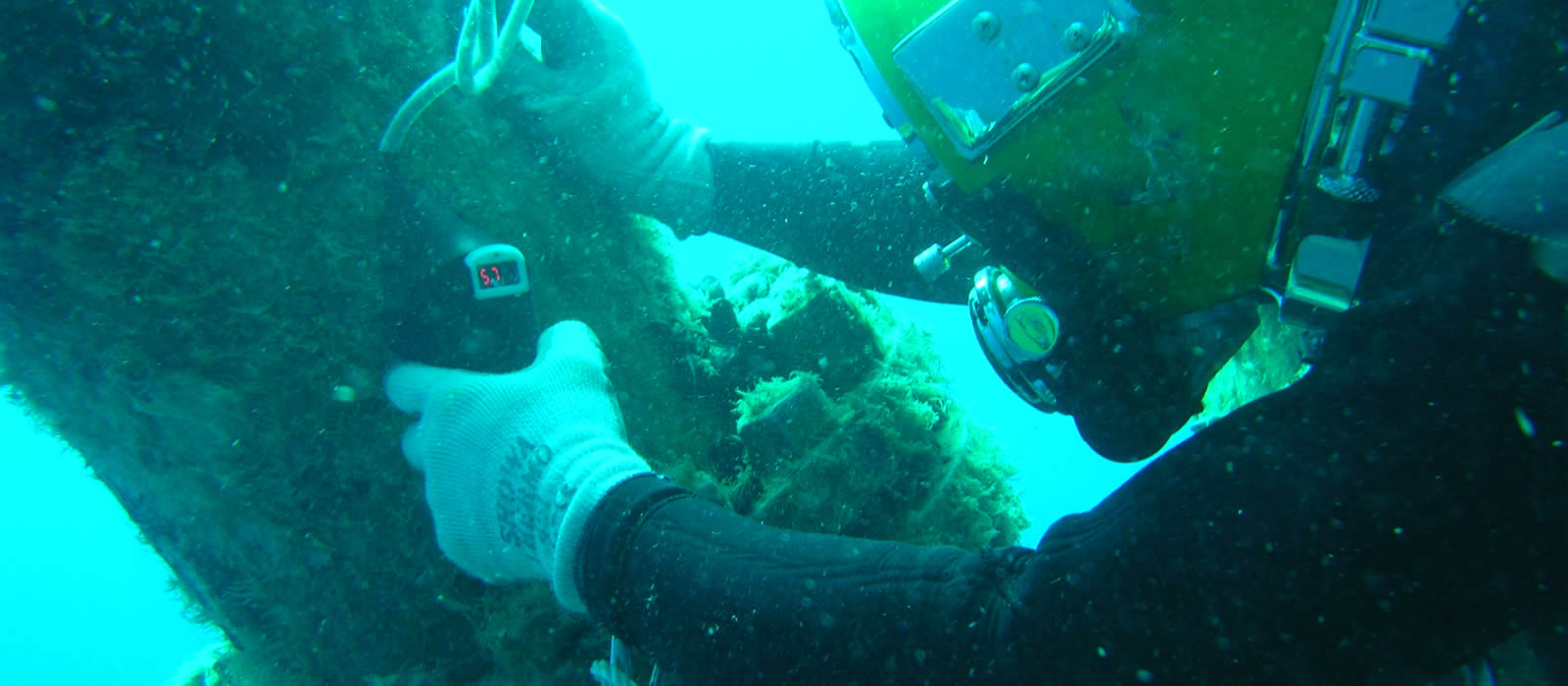 Le campane subacquee: cosa sono e a cosa servono - Mari ter